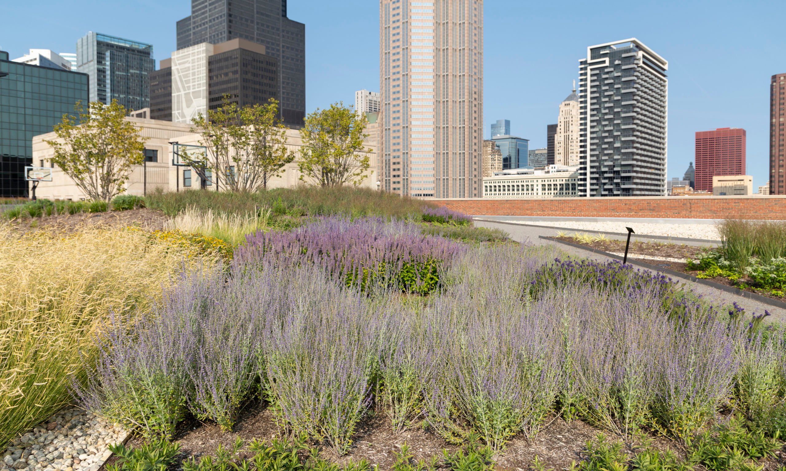 Rooftop terrace unveiled atop Chicago’s Old Post Office – REJournals