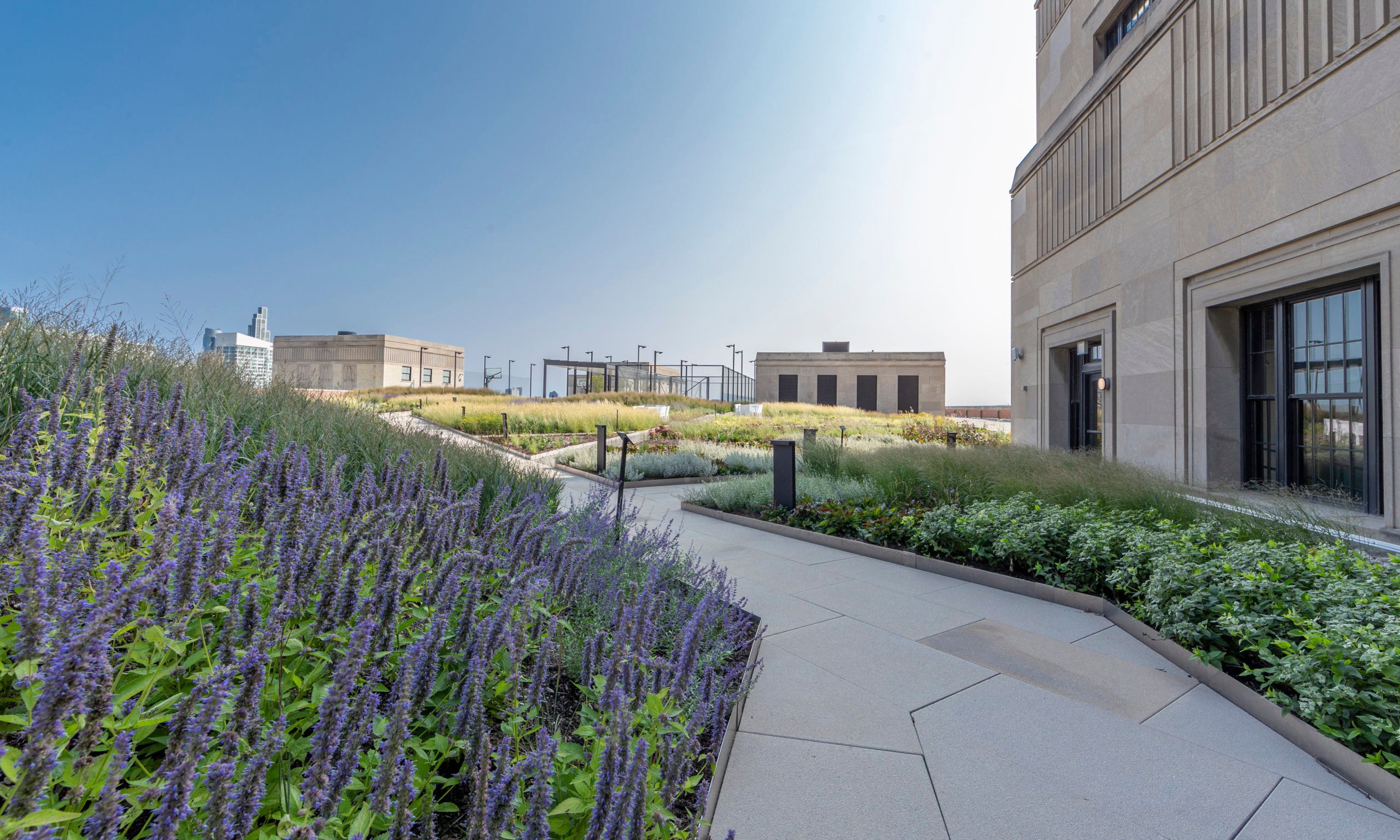 Rooftop terrace unveiled atop Chicago’s Old Post Office – REJournals