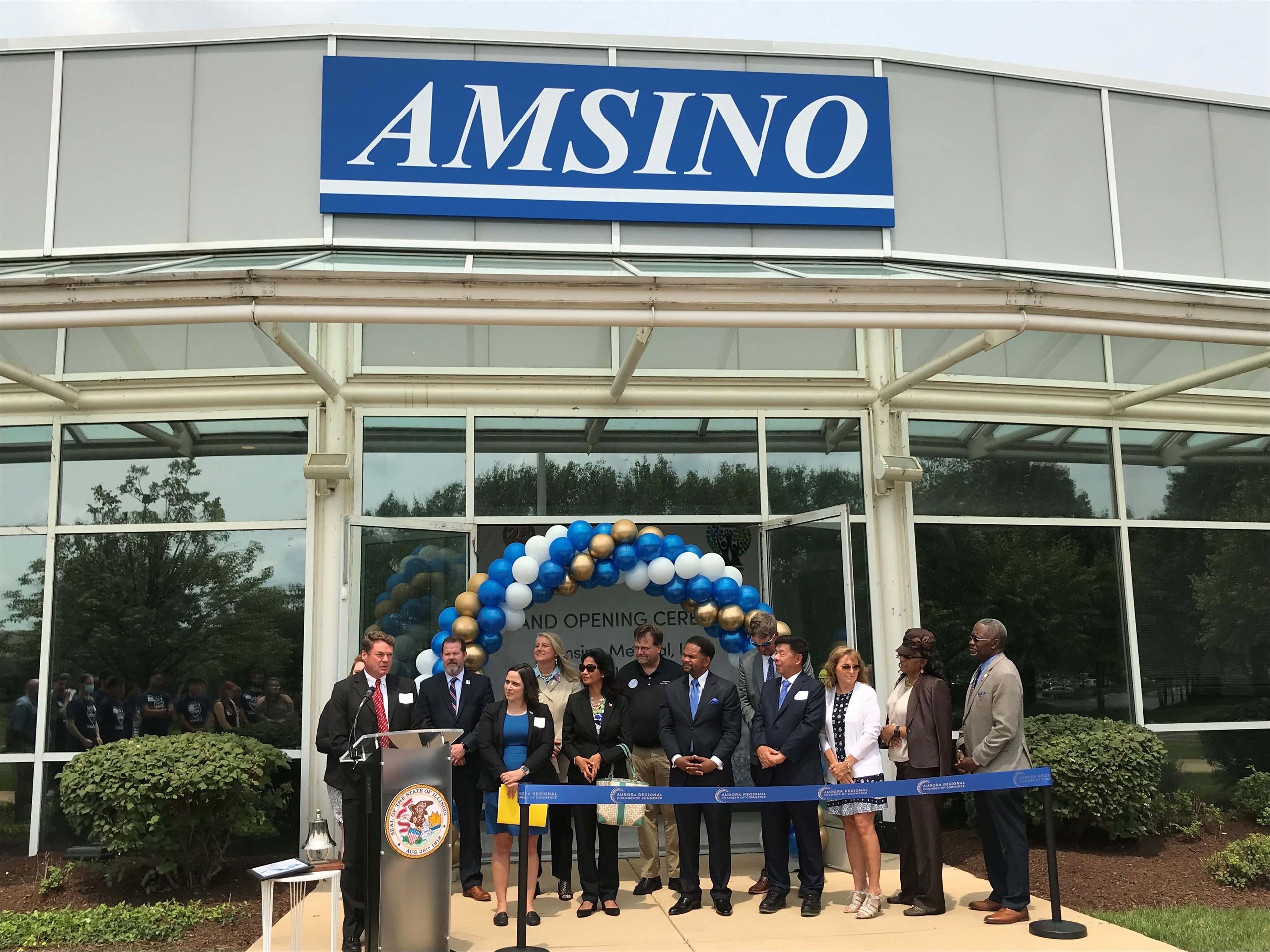 Amsino Amsino International, Inc